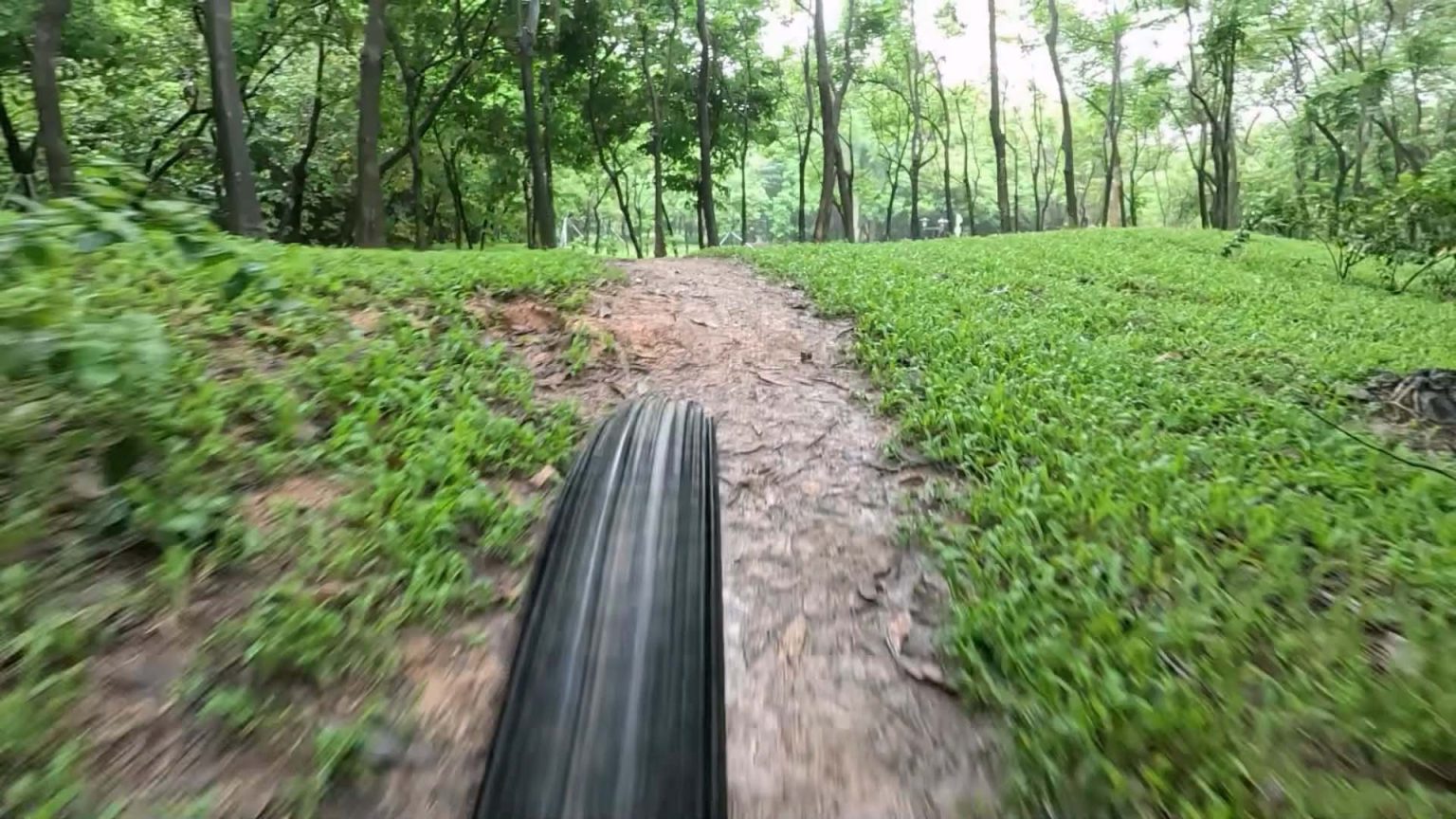 Understanding Image Stabilization in Cameras: Everything You Need to ...